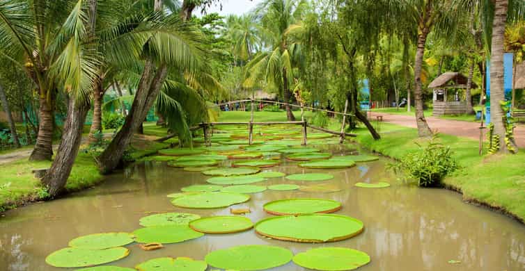 Ho Chi Minh city: Binh Quoi Tour | GetYourGuide
