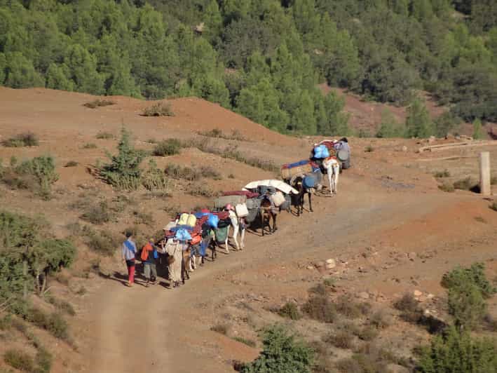 3 zile de drumeții în Munții Atlas | GetYourGuide
