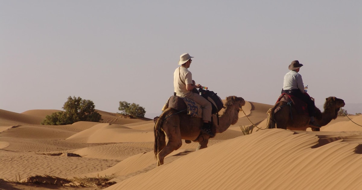 Tour condiviso di 3 giorni nel deserto del Sahara | GetYourGuide