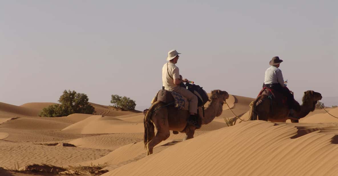 Sahara desert private tours | GetYourGuide