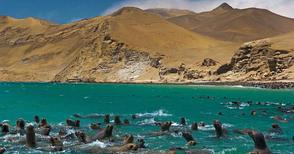 || Fantastic Perú Lima- Ica- Cusco, Sacred Valley, 7 Days || | GetYourGuide