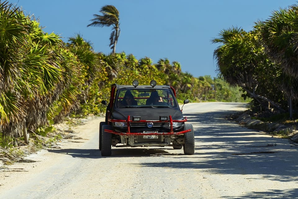 Cozumel: Off-road Adventure to Punta Sur and Clear Boat Ride | GetYourGuide