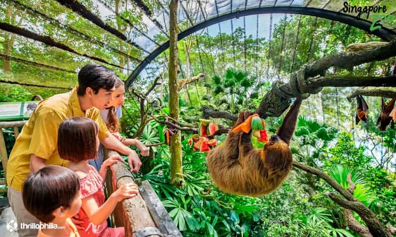 Day Trips from Singapore Zoo | GetYourGuide
