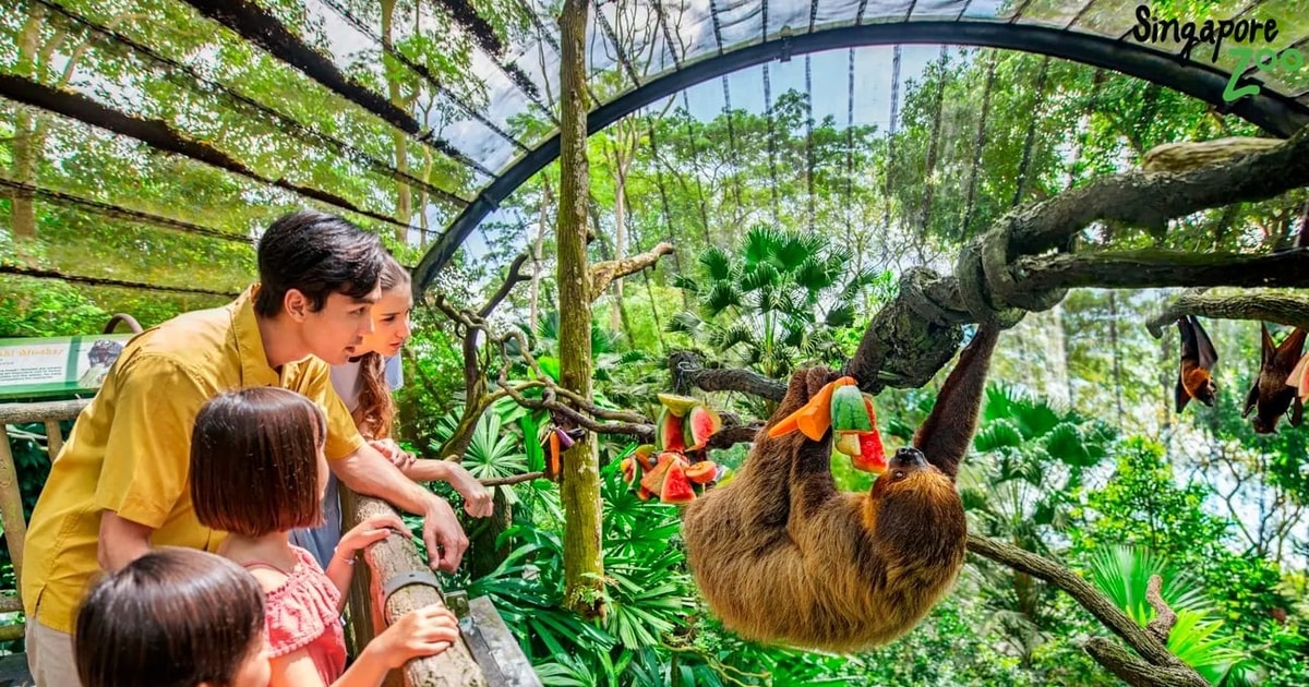 Singapore Bird Paradise & Zoo Full Day Tour | GetYourGuide