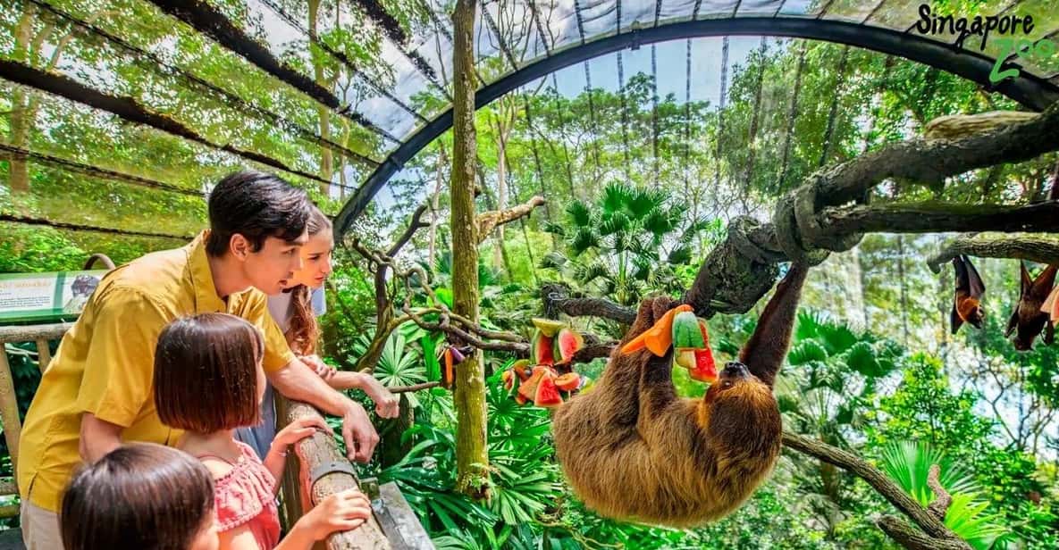 Singapore Zoo & River Wonder Day Tour | GetYourGuide
