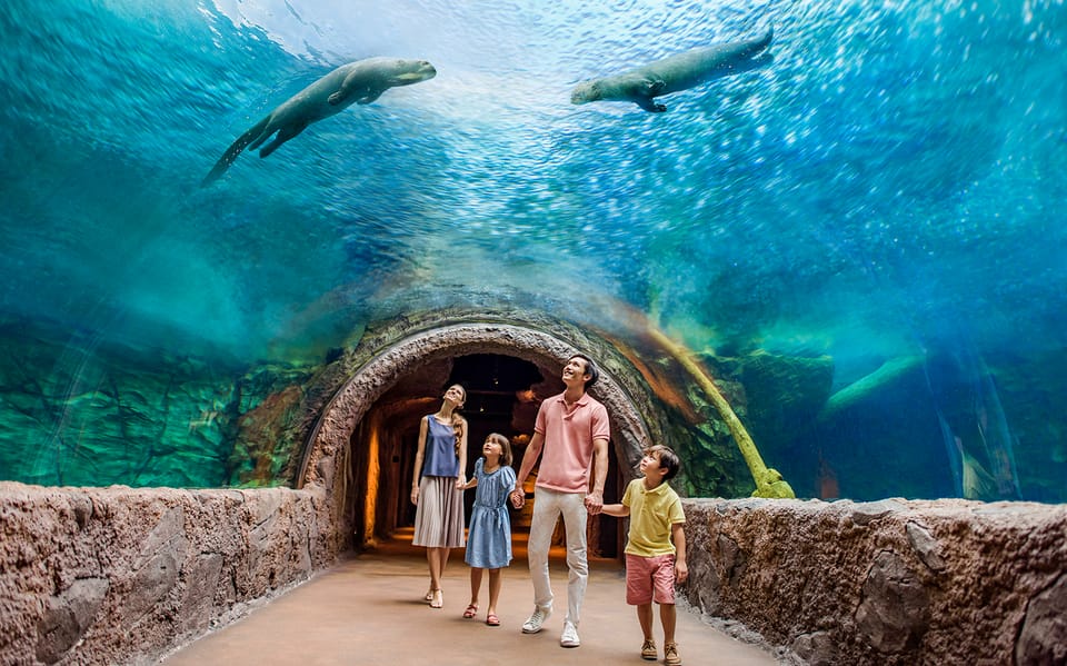 Singapore Zoo & River Wonder Day Tour | GetYourGuide
