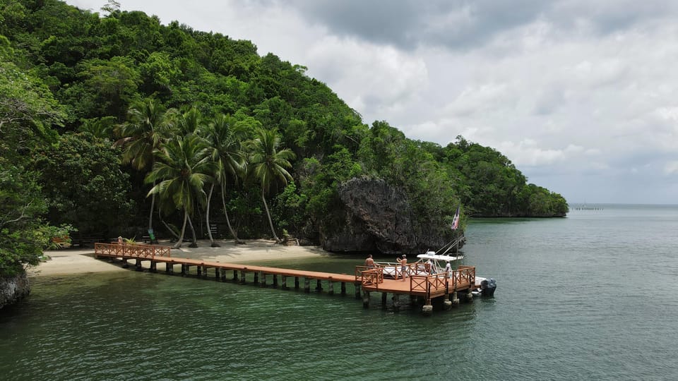 Samana: Private Los Haitises Expedition Caves & Mangroves | GetYourGuide