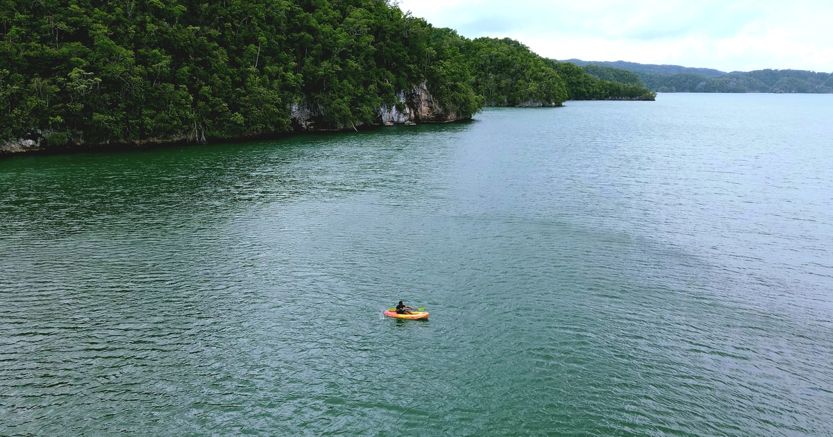 Samana: Private Los Haitises Expedition Caves & Mangroves | GetYourGuide