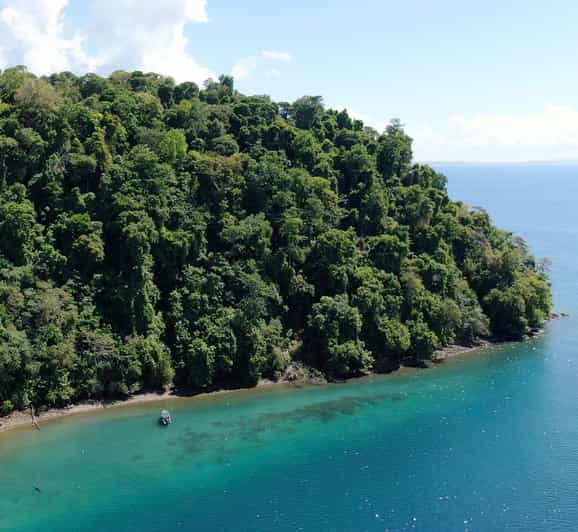 Golfo Dulce: Explore Coral Reefs on our Snorkeling Tour | GetYourGuide
