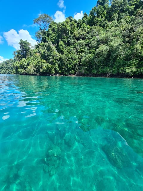 Golfo Dulce: Explore Coral Reefs on our Snorkeling Tour | GetYourGuide
