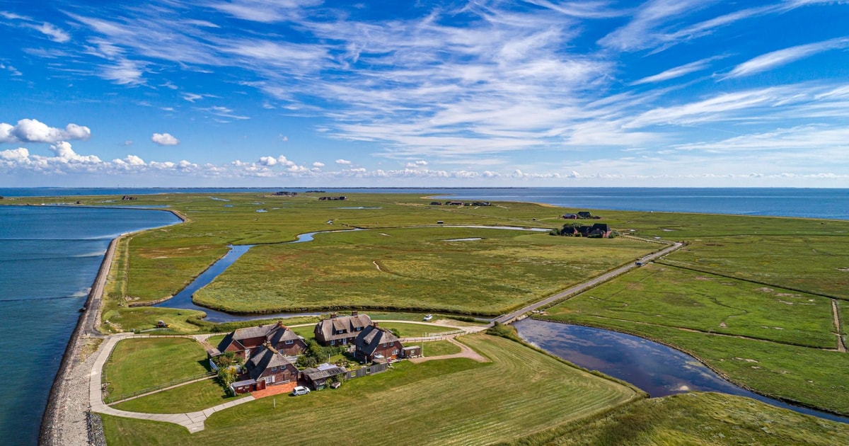 Desde Nordstrand: Viaje en barco a Hallig Hooge | GetYourGuide