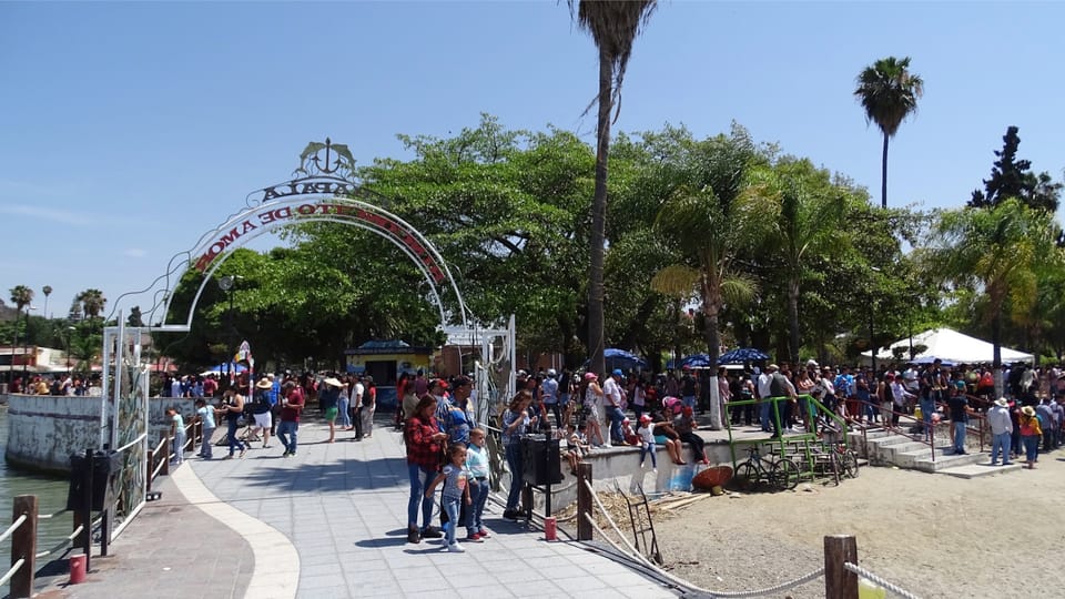 From Guadalajara: Chapala Lake & Ajijic Tour | GetYourGuide