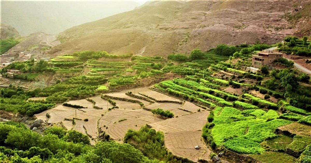 3 Dagen: Atlasgebergte, Berberdorpen & Toubkal-beklimming | GetYourGuide