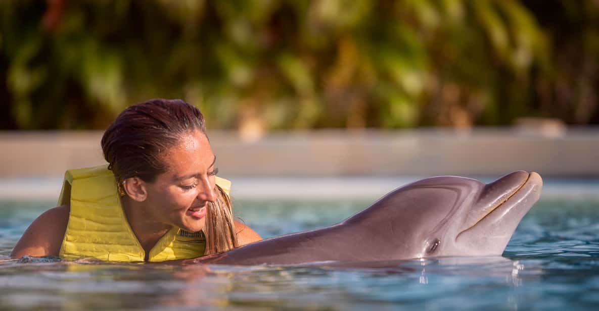 Dolphin Connection Riviera Maya: Dolphin Connection | GetYourGuide