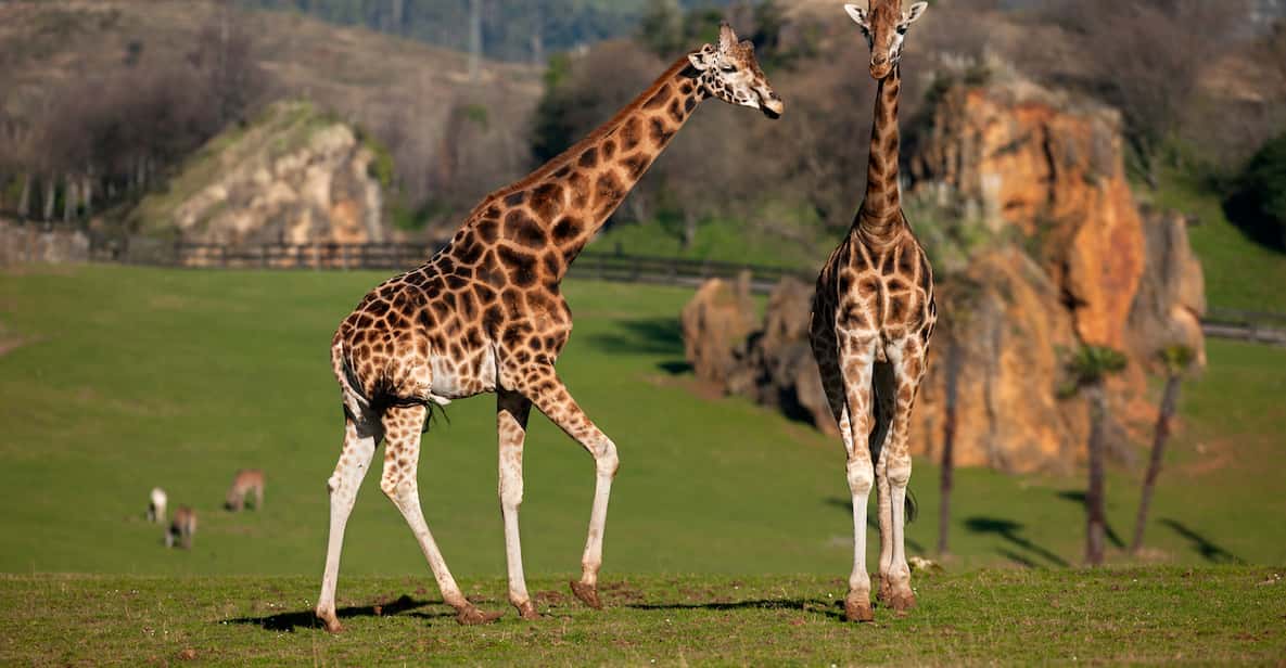 Obregón : Parque de la Naturaleza de Cabárceno Ticket d'entrée ...