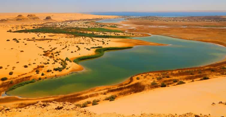 The BEST Wadi El Rayan Private tours 2023 - FREE Cancellation ...