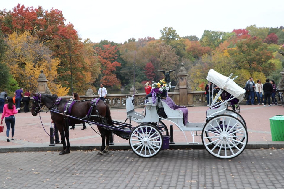 Manhattan: VIP Private Horse Carriage Ride in Central Park | GetYourGuide