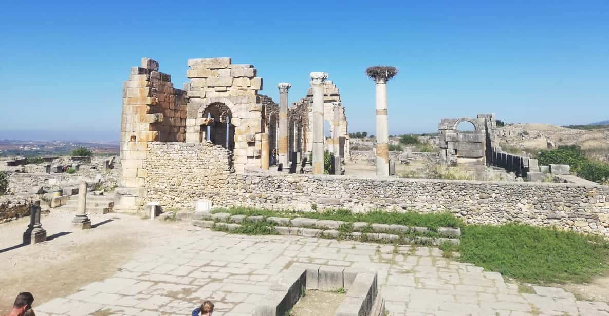 From Fes : Volubilis , Moulay Idriss and Meknes day trip | GetYourGuide