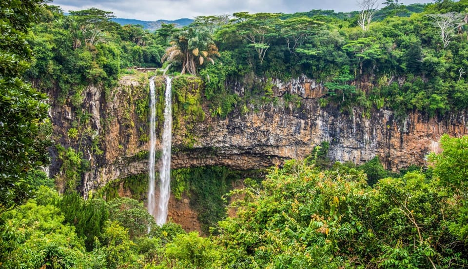 Parques de Animales y Naturaleza, Visita Privada con Almuerzo y Todas ...