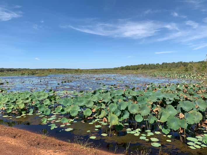 Darwin: Fogg Dam Wetlands Sunset & Humpty Doo Hotel Tour | GetYourGuide