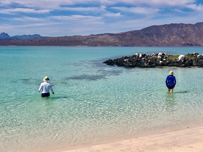 Excursión a la Isla Danzante y Snorkel desde el Hotel Villa del Palmar ...