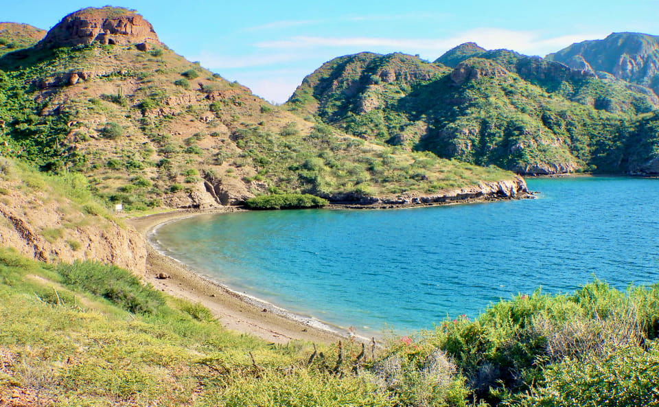 Excursión a la Isla Danzante y Snorkel desde el Hotel Villa del Palmar ...