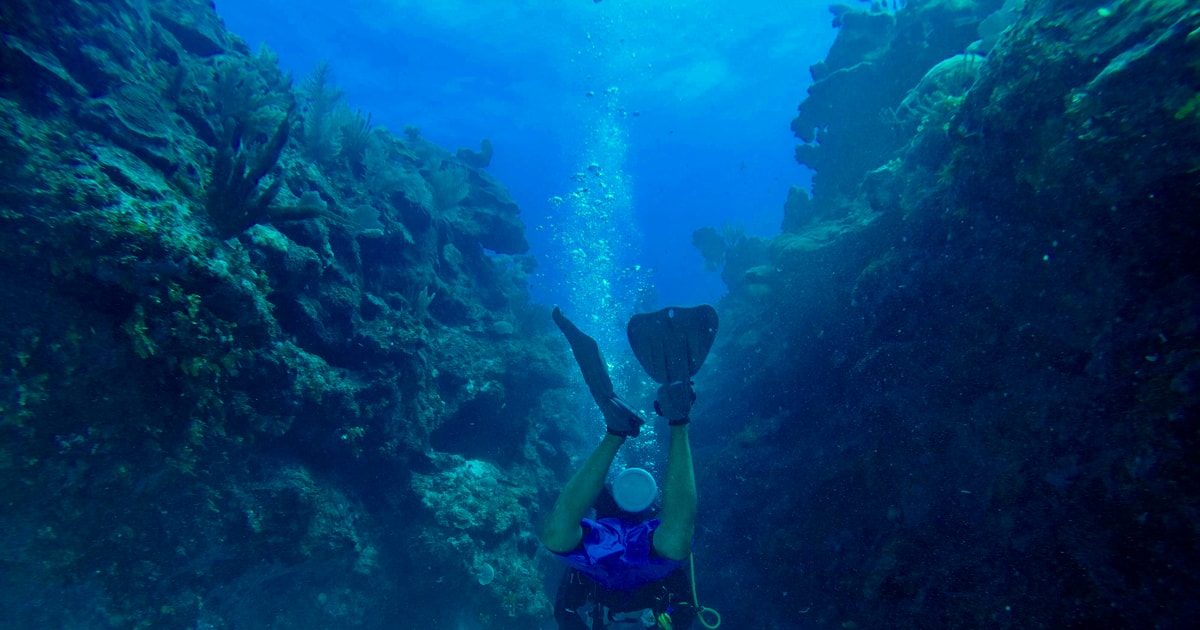 San Pedro, Belize scuba diving | GetYourGuide