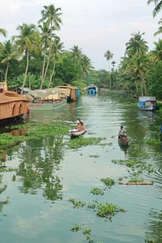 From Cochin: 8 Day Kerala Tour Package with Houseboat Stay | GetYourGuide