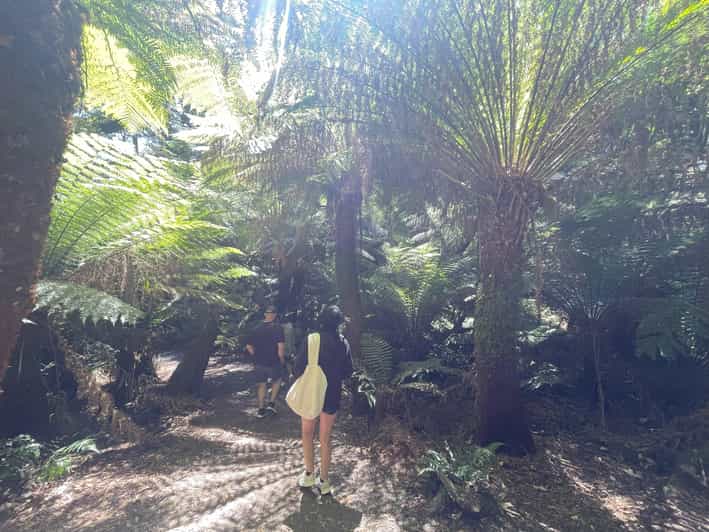 Melbourne: Great Ocean Road Day Trip with Rainforest Visit | GetYourGuide