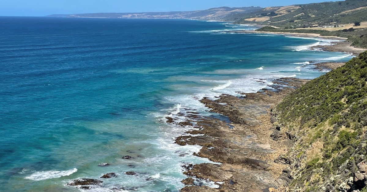 Melbourne: Great Ocean Road Day Trip with Rainforest Visit | GetYourGuide