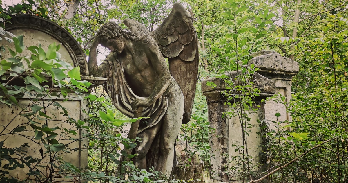 Vienna: Private Walking Tour St. Marx Cemetery - Mozart Tomb | GetYourGuide