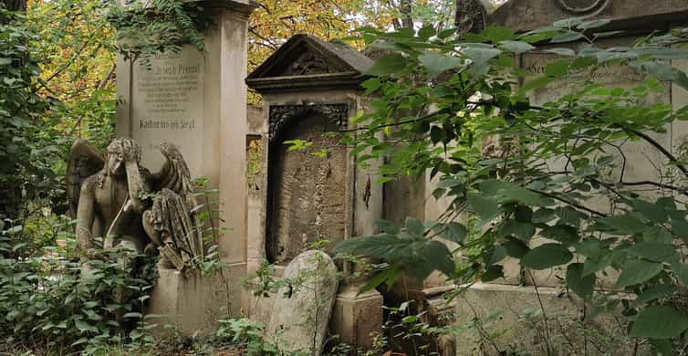 Vienna: Private Walking Tour St. Marx Cemetery - Mozart Tomb | GetYourGuide