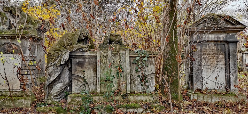 Vienna: Private Walking Tour St. Marx Cemetery - Mozart Tomb | GetYourGuide