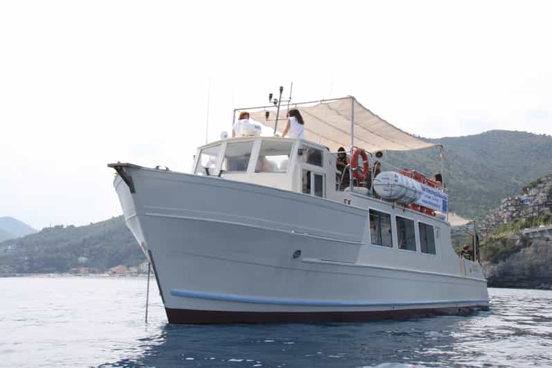 Savona: Pelagos Sanctuary Wildlife Cruise mit Naturalist | GetYourGuide