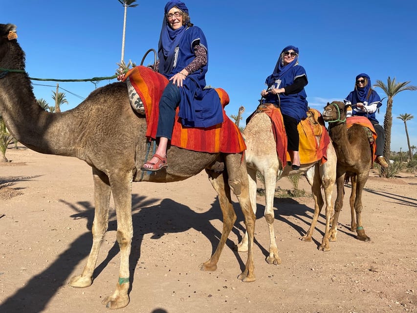 Marrakech Full-day excursion From Casablanca with Camel Ride | GetYourGuide