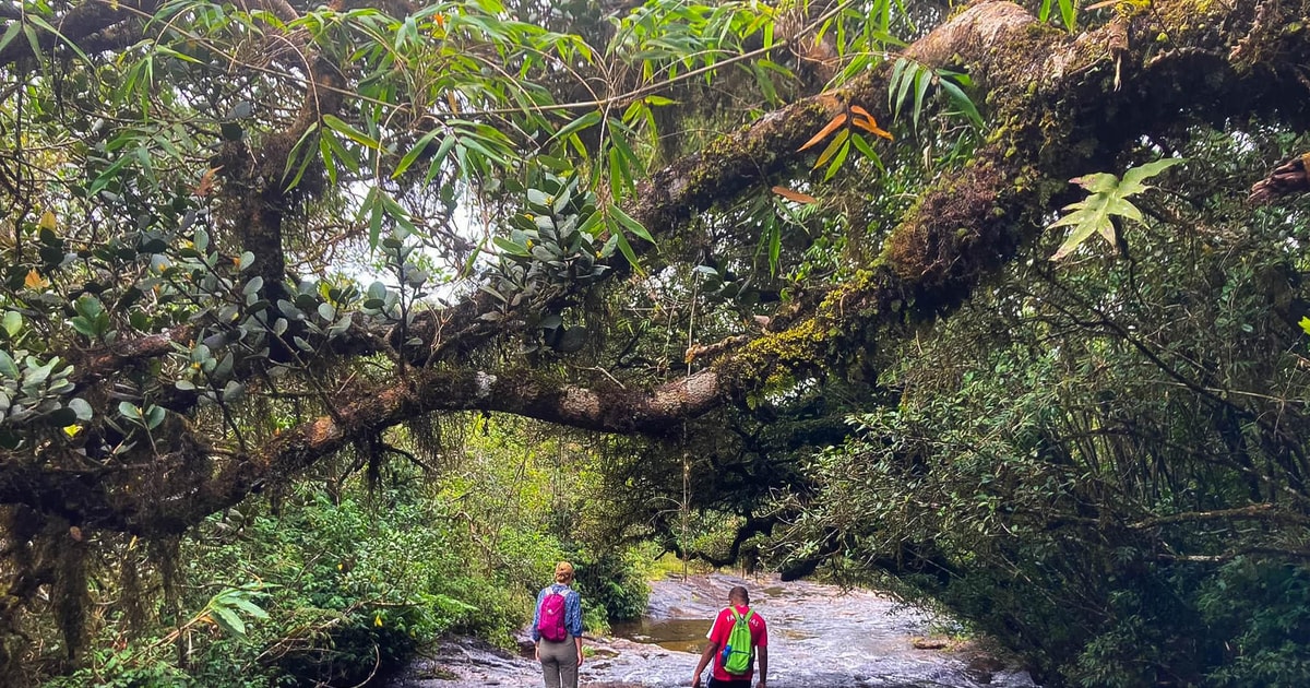 Exploring Knuckles: Hiking the Hidden Gem of Sri Lanka | GetYourGuide