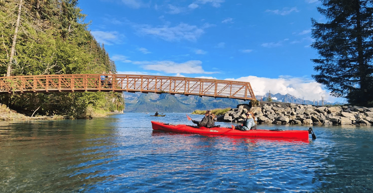 Seward: Tonsina Point Kayak & Exit Glacier Nature Hike | GetYourGuide