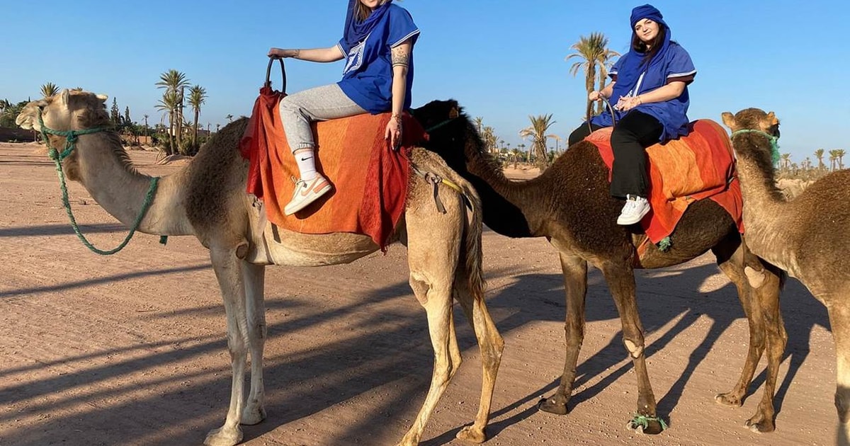 Marrakech Palmeraie : Camel Ride in the Oasis with Tea | GetYourGuide