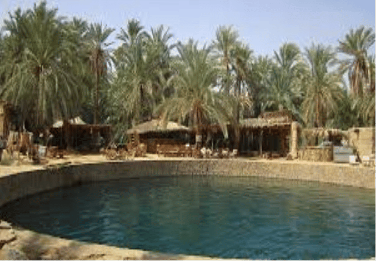 A Day Tour of Salt Lake, Cleopatra Spring, and Siwa City | GetYourGuide