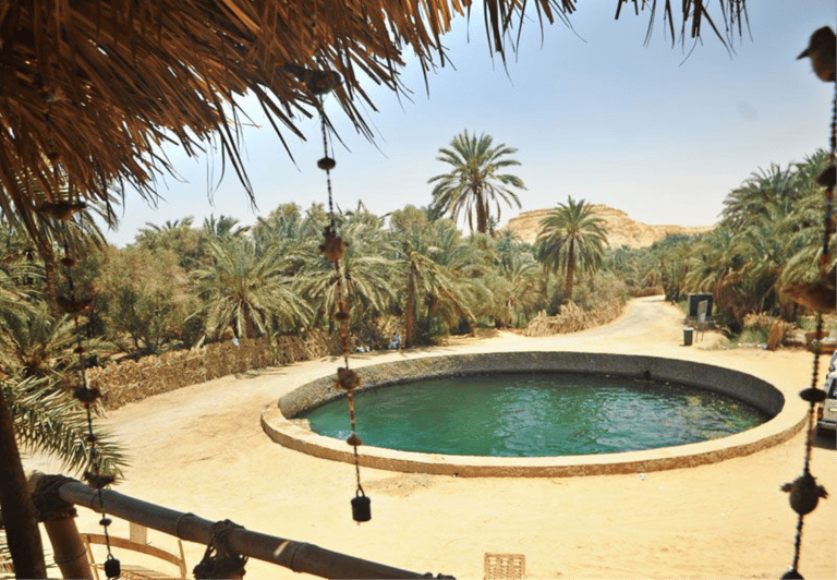 A Day Tour of Salt Lake, Cleopatra Spring, and Siwa City | GetYourGuide