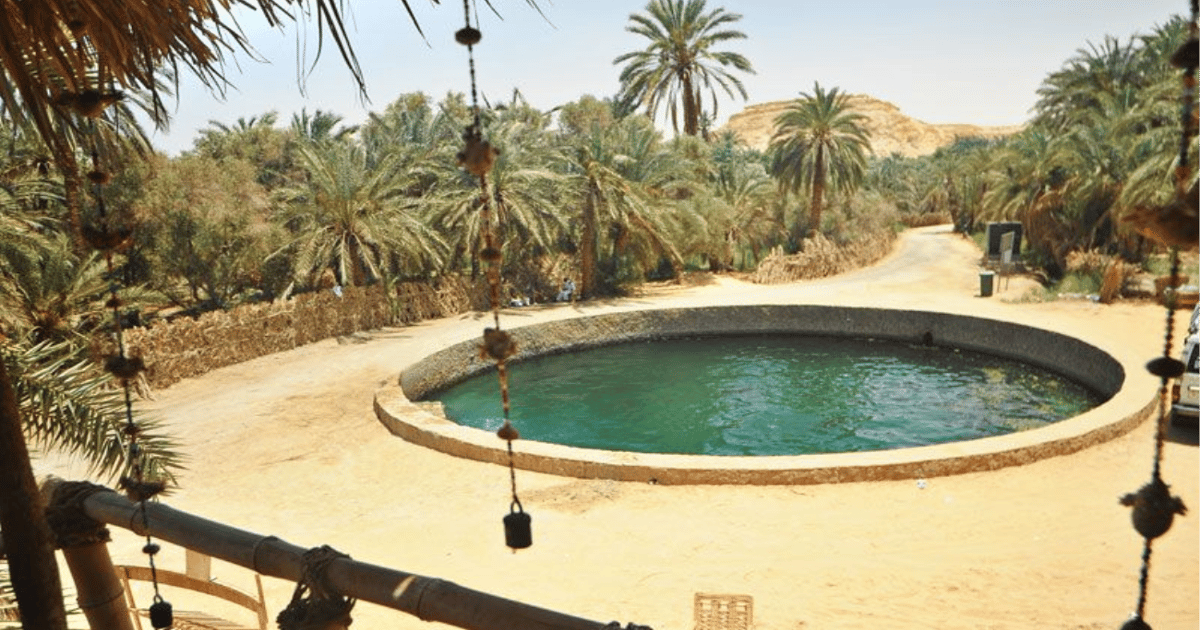 A Day Tour of Salt Lake, Cleopatra Spring, and Siwa City | GetYourGuide
