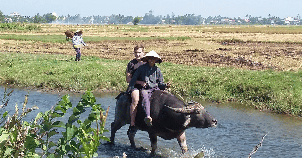 BUFFALO RIDING ADVENTURE AND BASKET BOAT TOUR | GetYourGuide