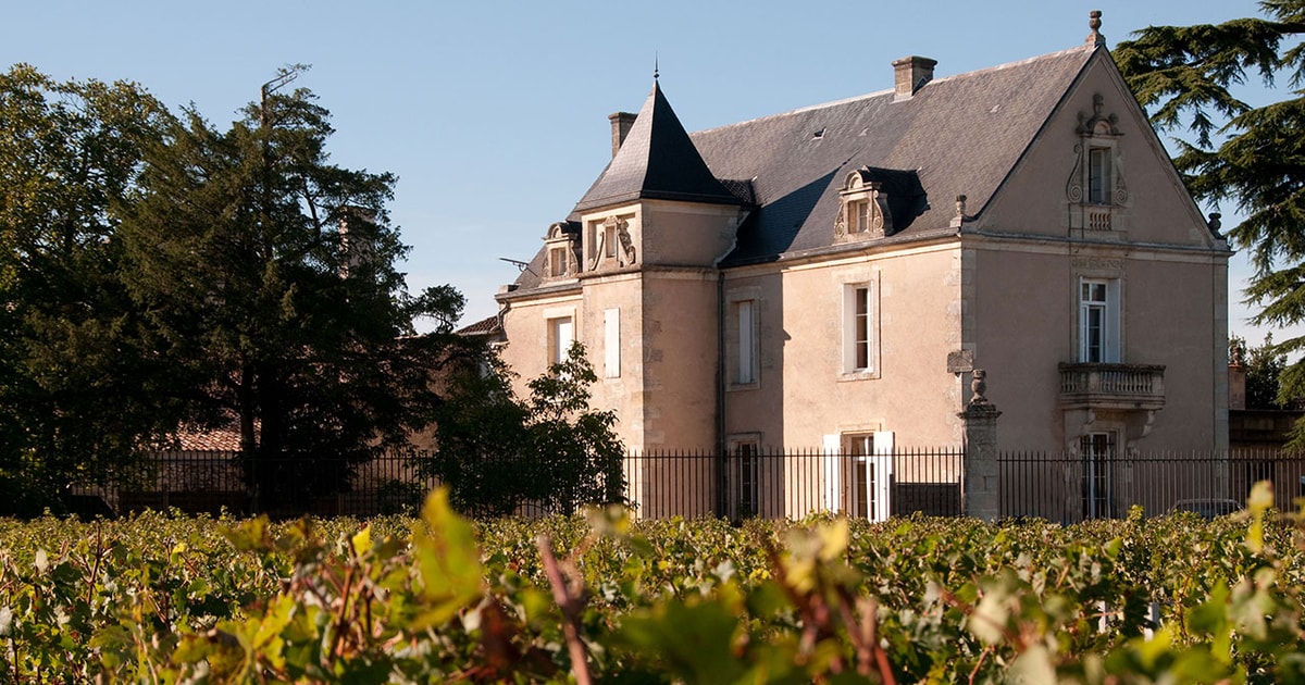 Medoc tour and greediness | GetYourGuide