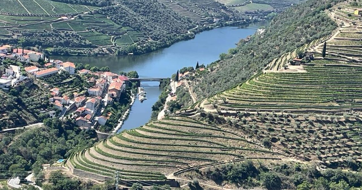 Tour Privado del Valle del Duero: 2 Viñedos y Crucero por el Río ...