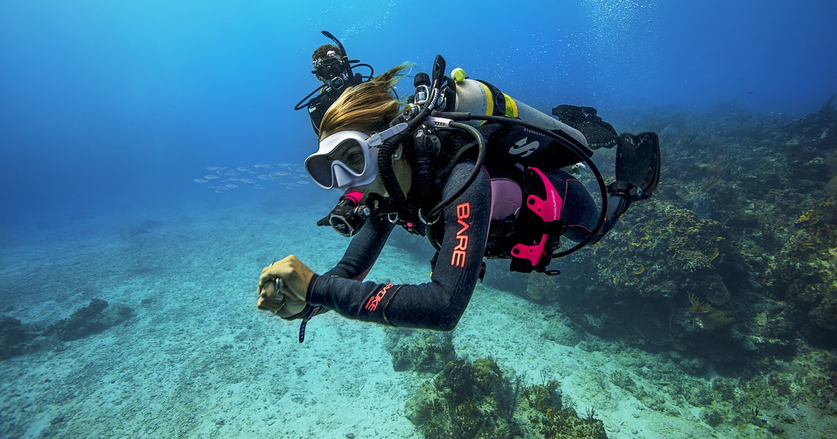 Prova le immersioni subacquee e lo snorkeling con trasferimento e ...