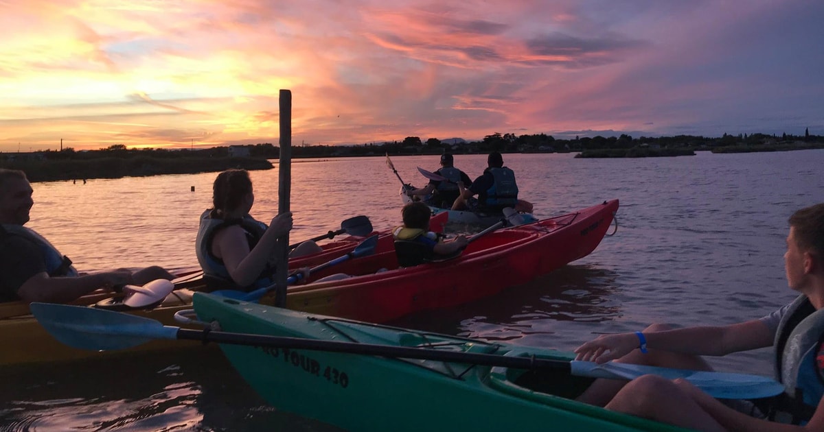 Montpellier : Birdwatching by kayak in Camargue | GetYourGuide
