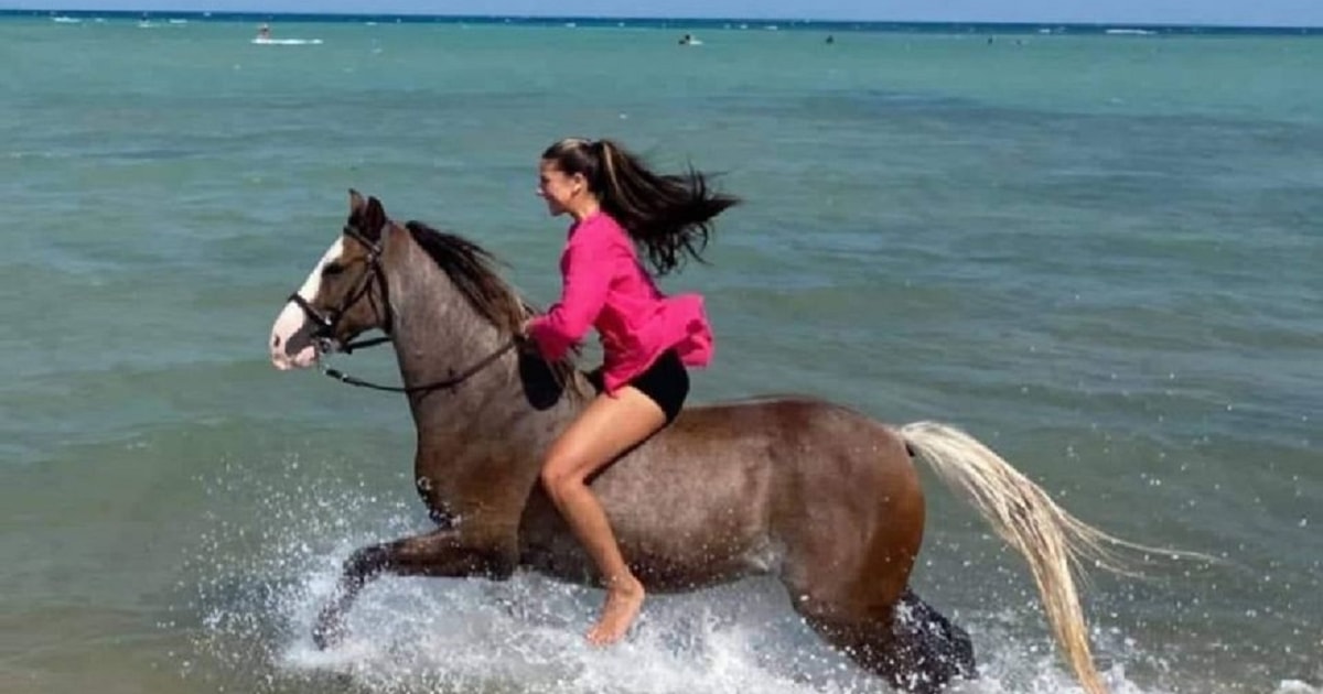 Hurghada: Plimbare ghidată prin deșert și pe plajă cu călărie, cu ...