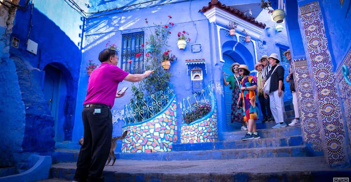 Chefchaouen: Day Trip To Chefchaouen (with small group) | GetYourGuide