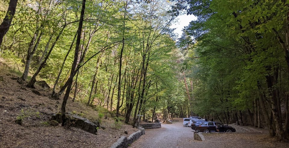 Tbilisi: Borjomi central park, Green monastery and forest | GetYourGuide