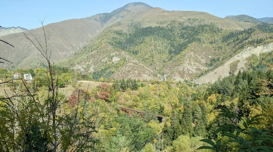 Tbilisi: Borjomi central park, Green monastery and forest | GetYourGuide